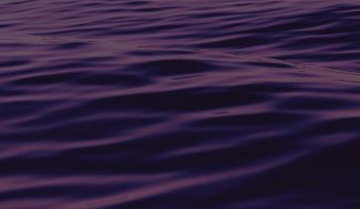 Suiscan Explorer | Tusky