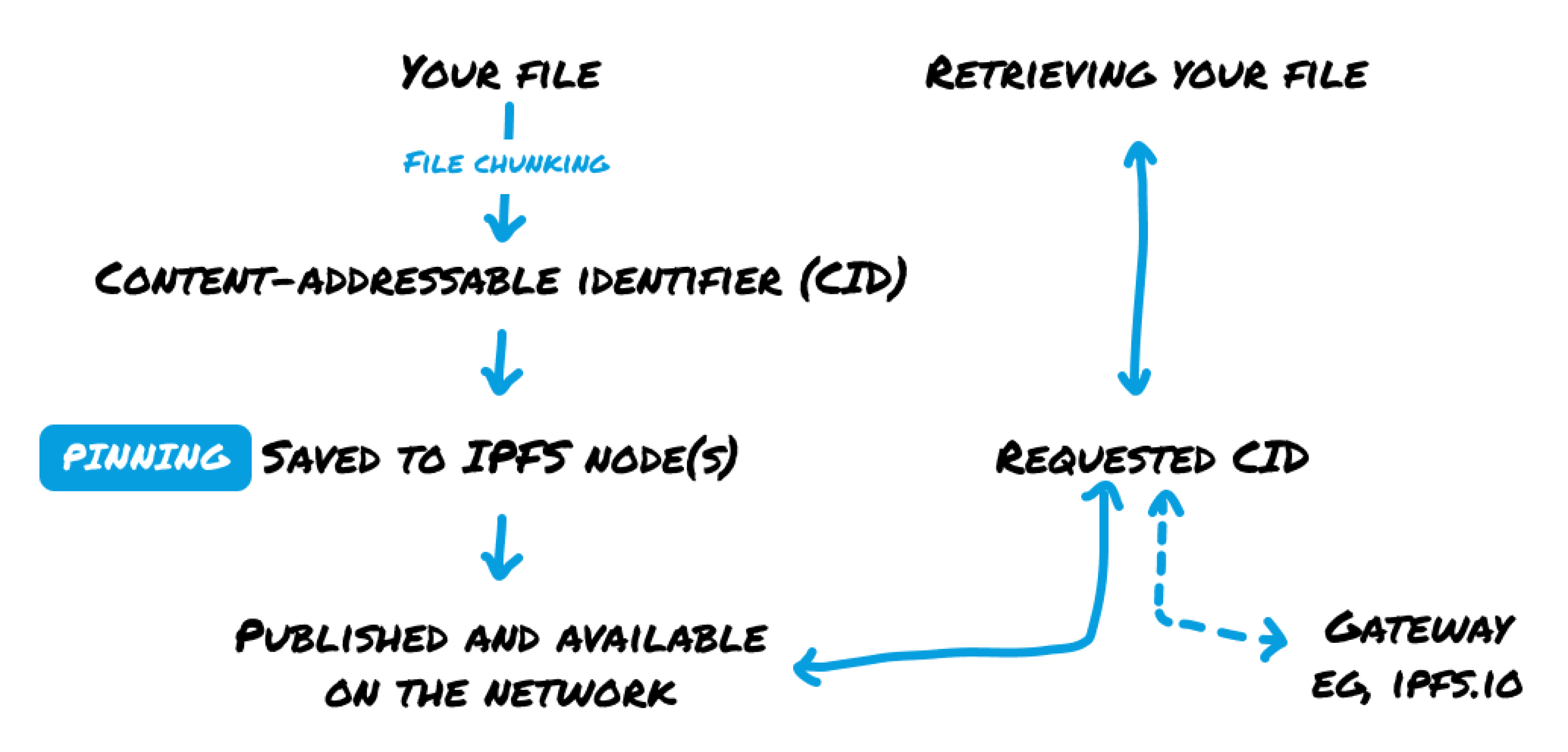 Walrus & Sui vs IPFS & Filecoin | Tusky